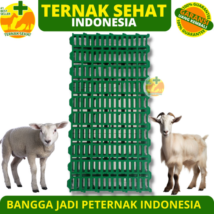 SLAT KANDANG PLASTIK 50 X 100 1PCS - Alas Kandang Lantai Kandang ...