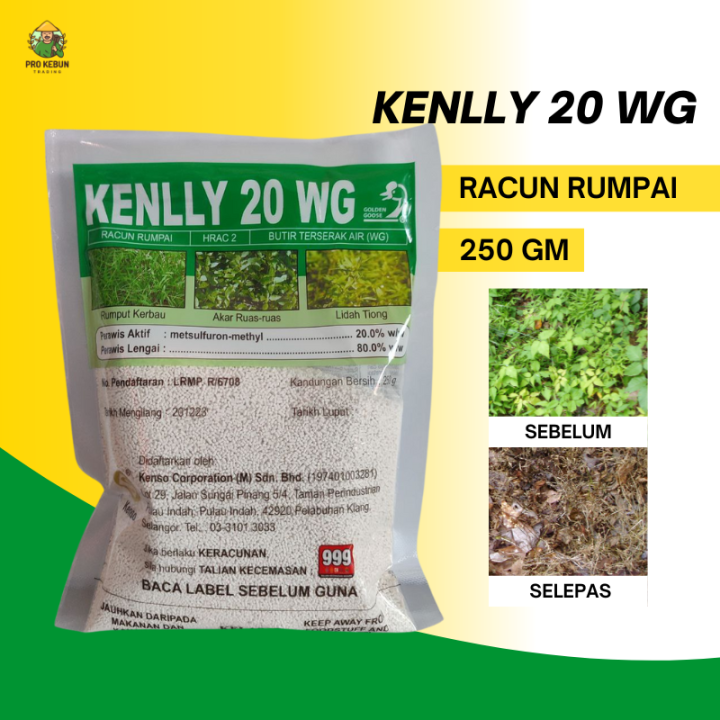 Kenlly 20WG 250 gram Racun Rumput Alai Racun Allly Alai Racun Rumput ...