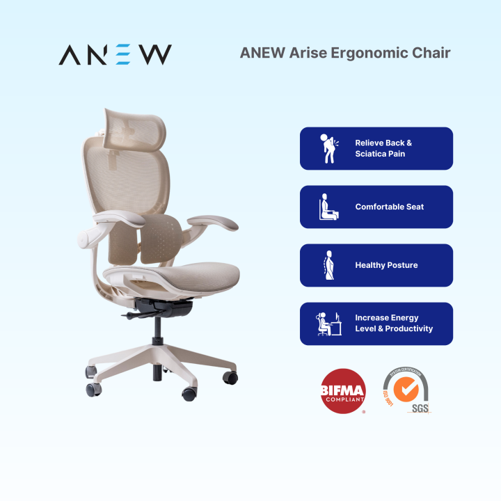 [NEW] ANEW Arise Ergonomic Chair Seat Backrest and Adjustable Lumbar ...