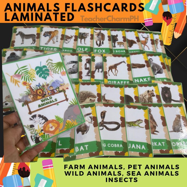 ANIMALS FLASHCARDS pet, farm, sea, wild animals & insects Laminated ...