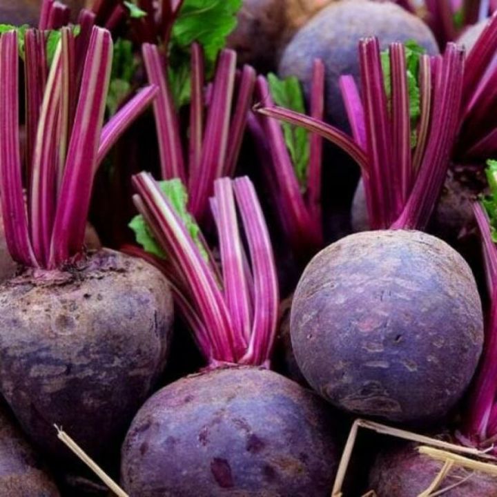 benih BUAH BIT buah beet F1 ayumi beetroot isi | Lazada PH