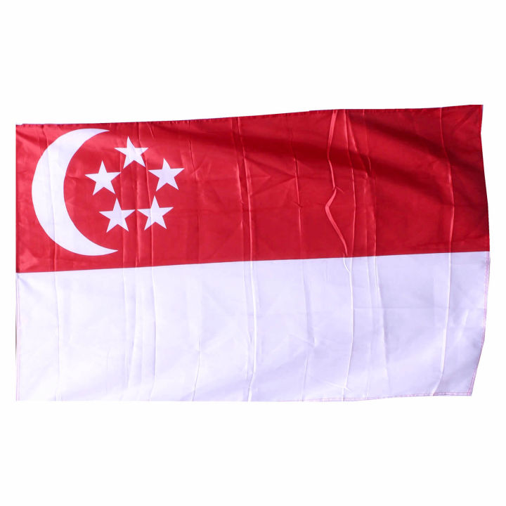 Partyforte NDP National Day Singapore Flag HDB - Size Decoration ...