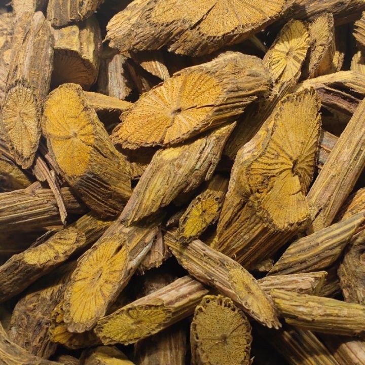 HERBAL AKAR KAYU KUNING BAJAKA - AKAR KI KONENG /AKAR BAJAKAH -1KG ...