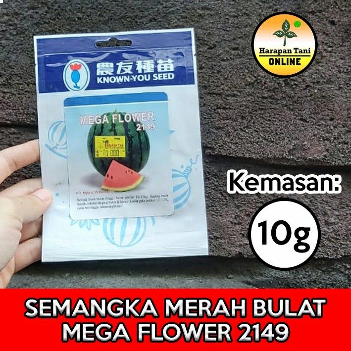 Mega Flower 2149 10g | Semangka Merah Bulat | Known You Seed | Lazada ...