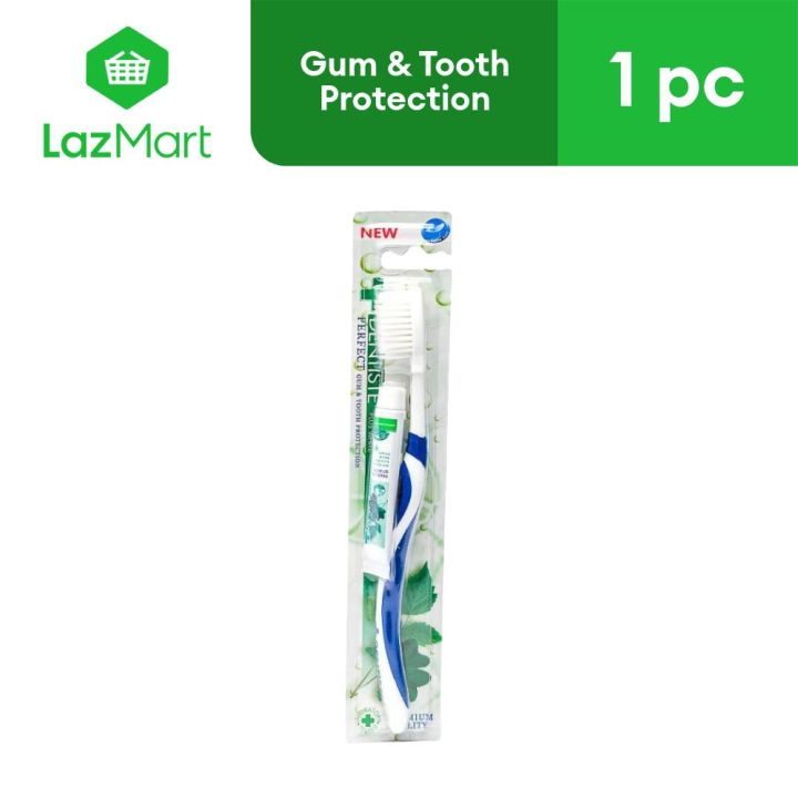 Dentiste Perfect Gum and Tooth Protection Toothbrush | Lazada PH