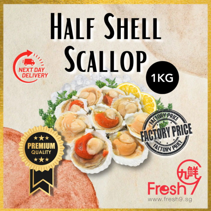 [Fresh9] Premium Half Shell Scallop (1kg/pkt) Frozen Seafood | 半壳扇贝 ...