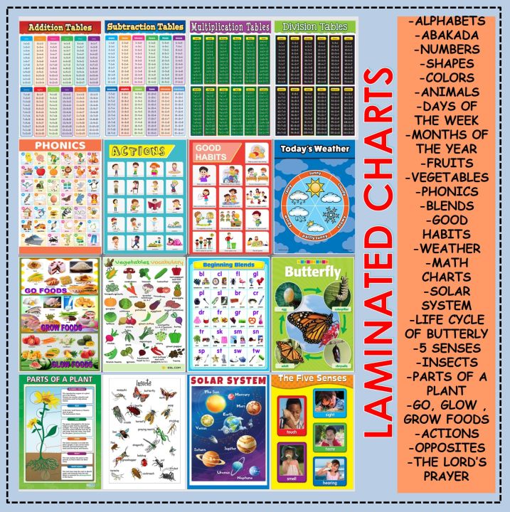 Laminated Charts (Size- SHORT-8.5"X11") | Lazada PH