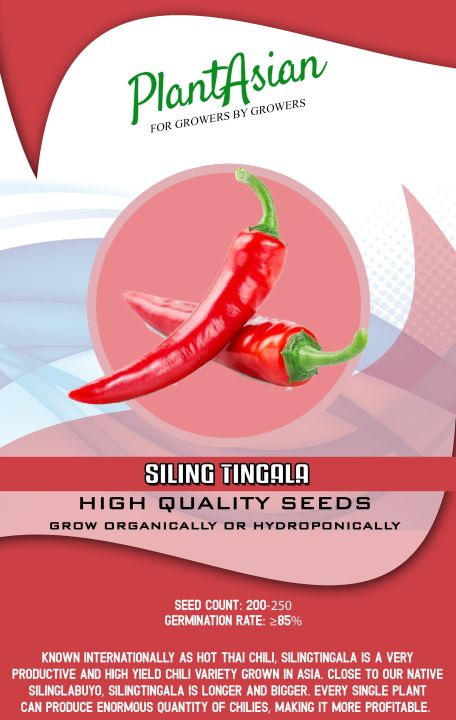 SILING TINGALA OR HOT THAI CHILI SEEDS | Lazada PH