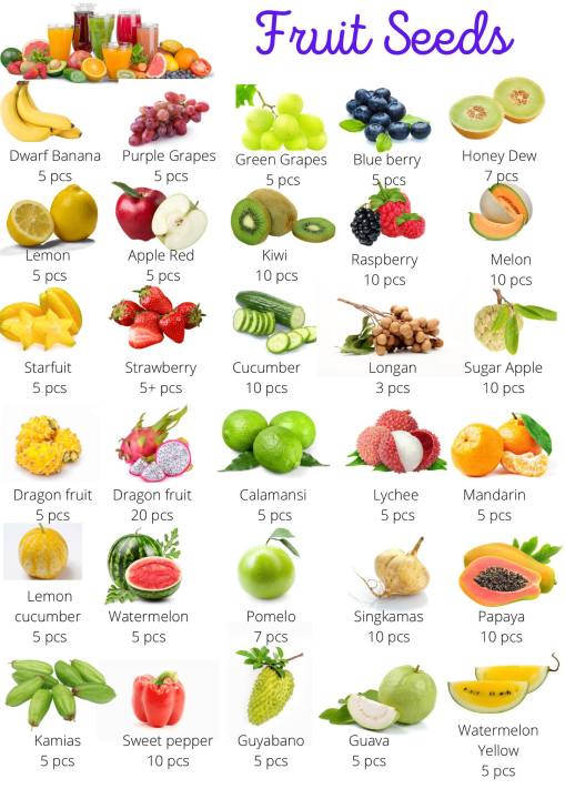 Prutas Fruits High Quality Seed Binhi Pantanim for Planting Outdoor Garden Pot Plant Plantita ...