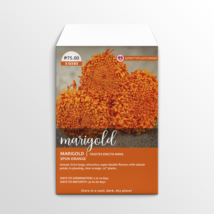 Spun Orange Marigold Seeds | Lazada PH