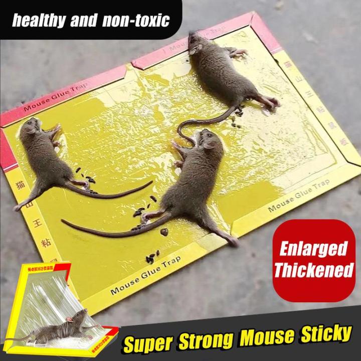 Large Super Strong Mouse Sticky Mouse & Rat Trap Glue Board Sticky ...
