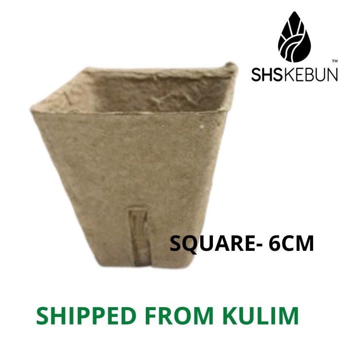 50 Pieces Biodegradable Tray Semaian 6cm Recycled Paper Seedling Cup ...