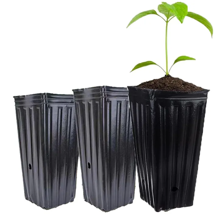 20pcs Tall Deep Tree Pots, Plant Nursery Tall Flower Plant Containers ...