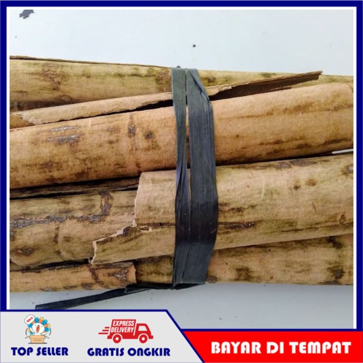 Jamu Herbal Tradisional Kulit Kayu Pule 1kg Kulit Batang Kayu Pule ...