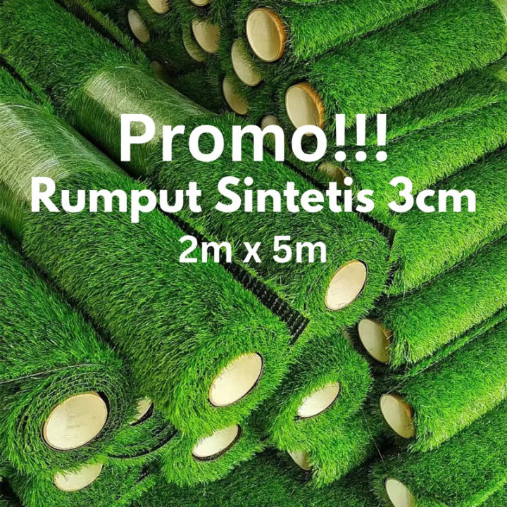 Rumput Sintetis 2x5 Meter 3cm– Karpet Rumput untuk Taman, Teras, Balkon ...