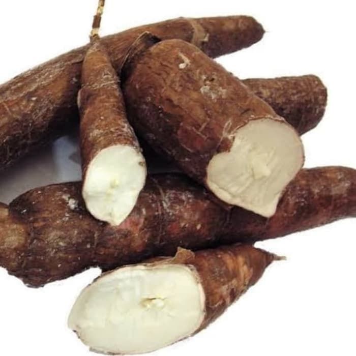 singkong mentega 1 KG - singkong kuning 5 kg - singkong tape - singkong ...