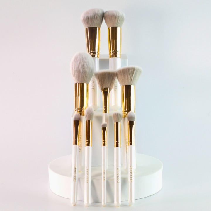 Anne Clutz Ultimate Beginner Individual Brushes Old Logo | Lazada PH