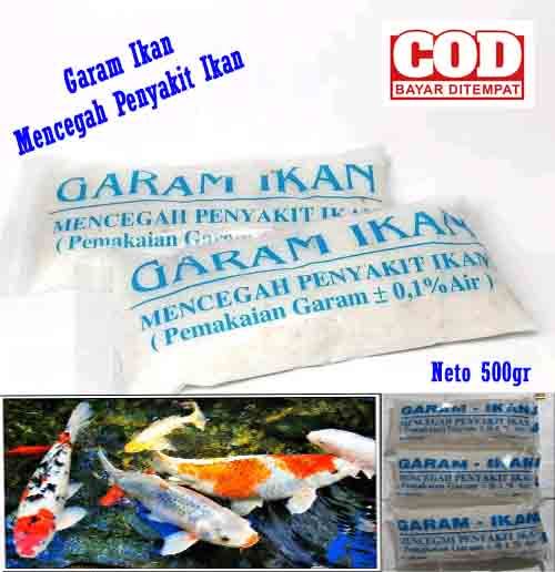 Garam Ikan Mencegah Penyakit Ikan Cupang, Koi, Lowhan, Lele, Gurame ...