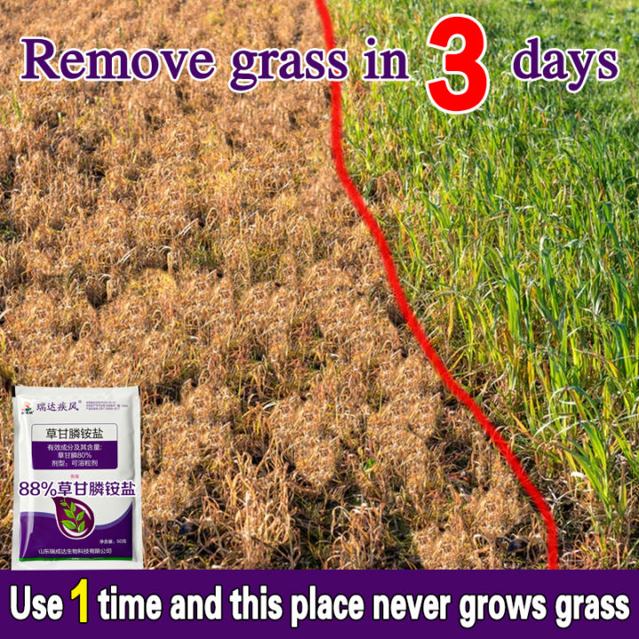 Grass killer Chemical Herbicide for Grass and Weeds - For Gardening ...