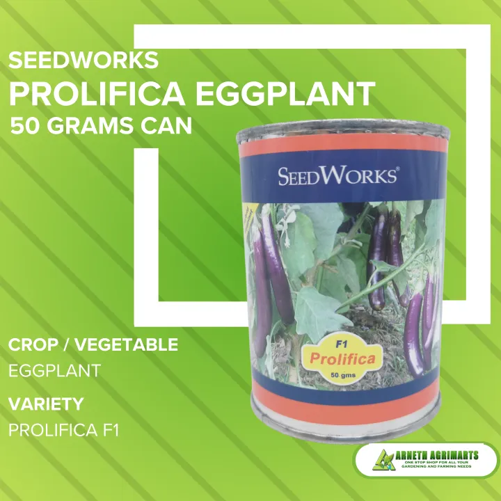 ARNETH SEEDWORKS PROLIFICA F1 VARIETY EGGPLANT SEEDS (50g CAN) | Lazada PH