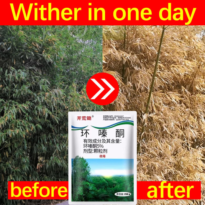 One day withered🌿tree and grass killer 250g cycloazinone herbicide can ...