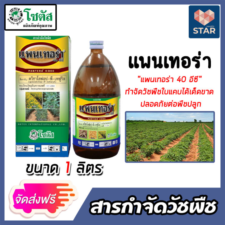 แพนเทอร่า 40 อีซี (Pantera 40 EC) ขนาด 1 ลิตร สารกำจัดวัชพืชชนิดดูดซึม ...