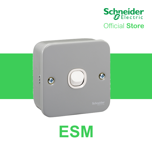 Schneider Electric ESM 10A 1 Gang 1-Way Switch | Lazada