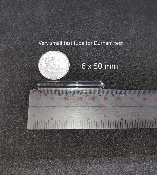 Pack of 3 Pcs: PYREX Glass Durham Tube 6x50mm | Lazada PH