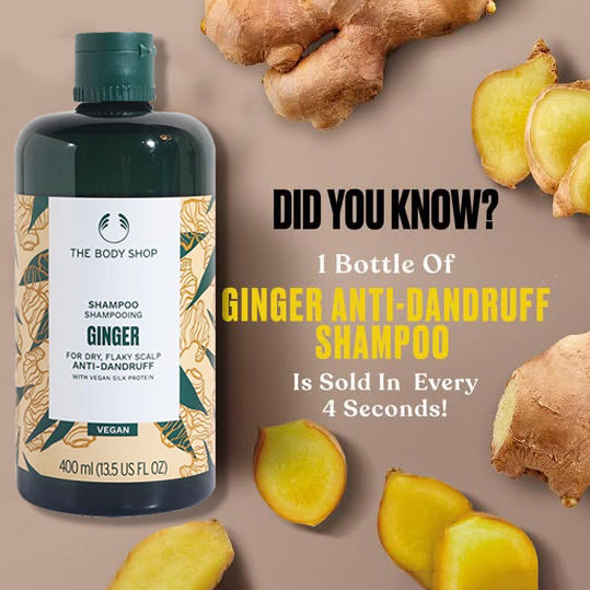 The Body Shop Ginger Anti Dandruff Shampoo 400ml | Lazada Indonesia
