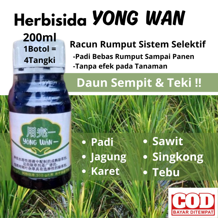 Yong wan Pengendali rumput liar pada tanaman | Lazada Indonesia