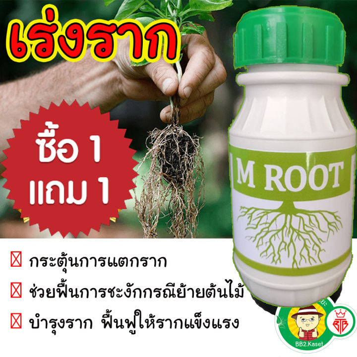 โปรซื้อขวด1แถม1 เร่งราก M Root 250 ซีซี น้ำยาเร่งรากกล้วยไม้ และพืชทุก ...