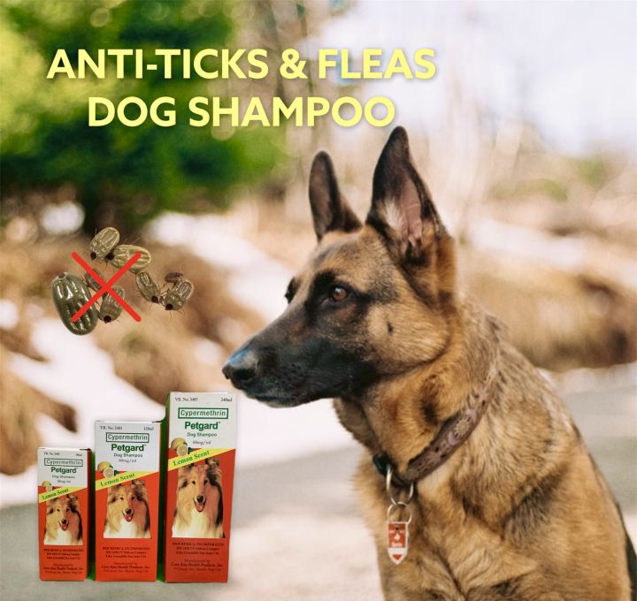 PETGARD ANTI-TICKS & FLEAS DOG SHAMPOO | Lazada PH