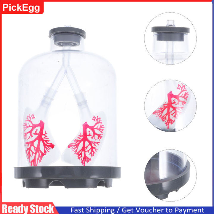 Pickegg Lung Function Model for Students Diaphragm Movement Simulation Device Lung Breathing ...