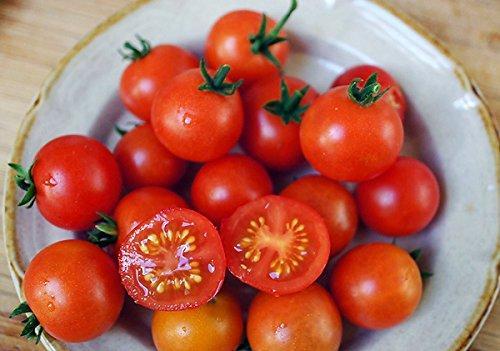 30+ Dwarf Red Robin Tomato Seeds, Heirloom Non-GMO, Sweet, Low Acid ...
