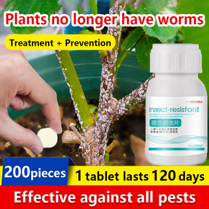 Plant Insect Resistant Tablets 40g Gardening Insect Repellent ...
