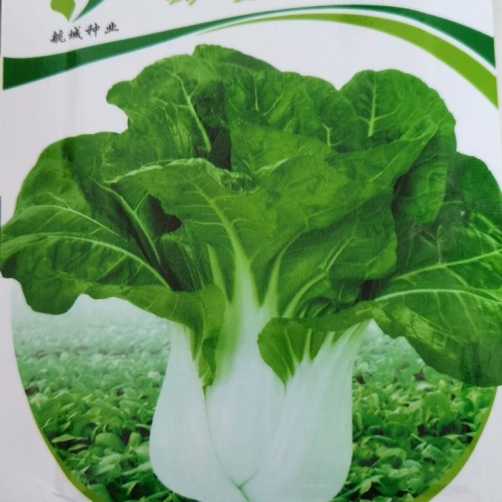 Dwarf milk cabbage high-yield potted balcony vegetable field | Lazada.co.th