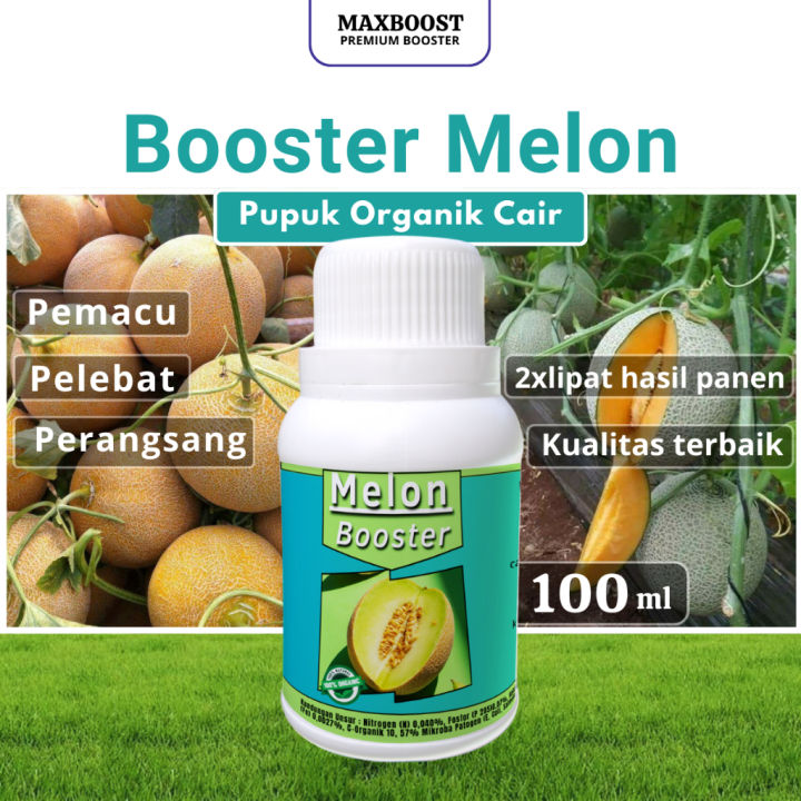 pupuk booster cair melon, Pupuk Pembesar Pemanis Buah Melon / Pupuk Untuk Penyubur Perangsang ...
