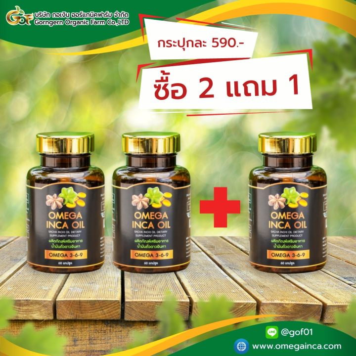 2 แถม1 น้ำมันถั่วดาวอินคา ตราOmega inca oil บรรจุ 60 แคปซูล กระปุกละ ...