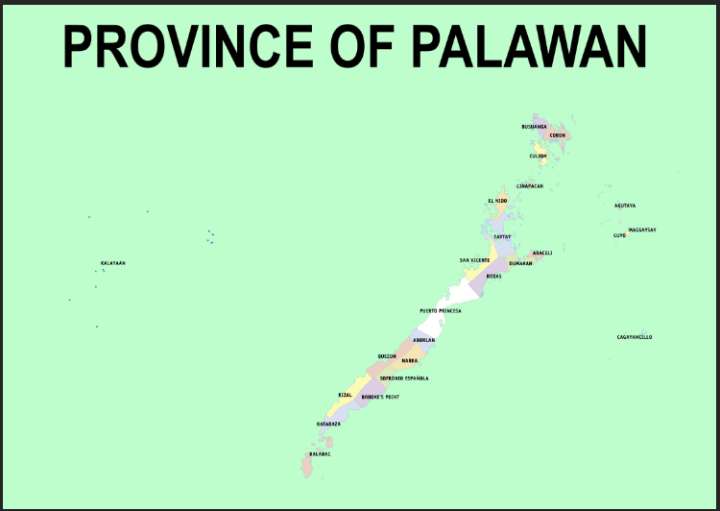 Palawan Province Map A4 Laminated Chart | Lazada PH