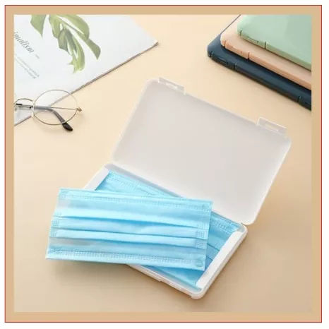 CHS muji Design Portable Face Mask Storage Case | Lazada PH