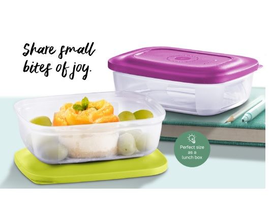 Tupperware Small Rectangular Saver 500ml | Lazada