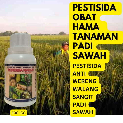 Pestisida Padi Sawah / Obat Anti Walang Sangit Padi Sawah / Obat Anti ...