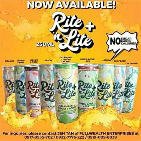 RITE N' LITE (250ml) * 24 pcs (1 case) -- ASSORTED MIX (REGULAR and ...