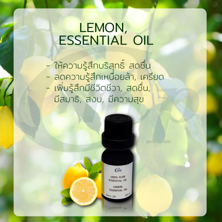 น้ำมันหอมระเหยเลมอน Lemon Essential Oil | Lazada.co.th