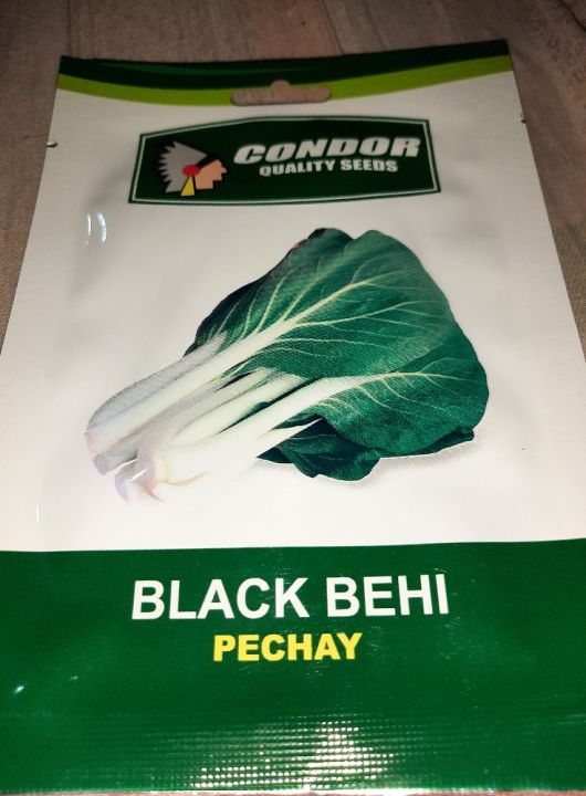 pechay / cabbage / Bok choy / black behi pechay - 8grams - Condor seeds ...