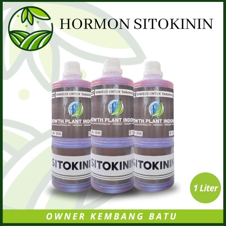 Hormon Sitokinin 1L ZPT Pertumbuhan Tanaman Secara Cepat dan Instan ...