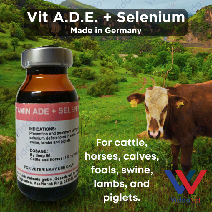 Vitamin ADE + Selenium 10ml for animals pig , calves , sheep, goat ...
