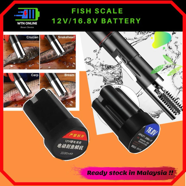 12v & 16.8v Fish Scale Battery and Charger | Lazada