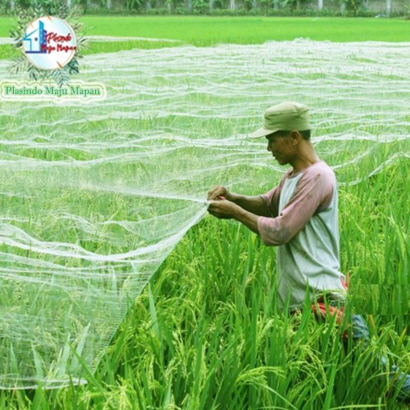 Jaring Burung 100 Yard (90 Meter) / Jaring Sawah / Jaring Ikan / Jaring ...