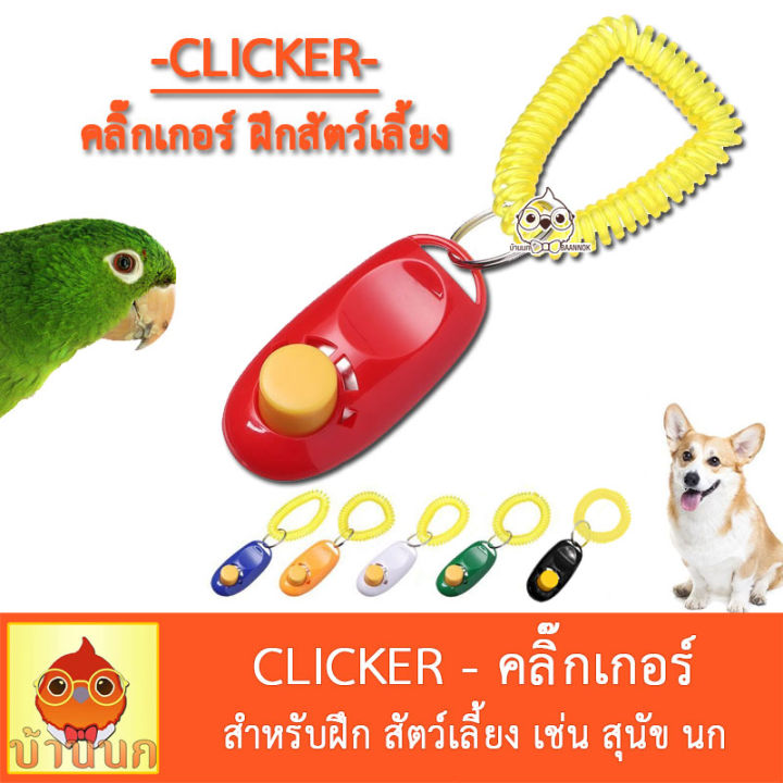 Clicker คลิ๊กเกอร์ ฝึกสัตว์เลี้ยง ฝึกสุนัข ฝึกนก นกแก้ว หมา สุนัข pet ...